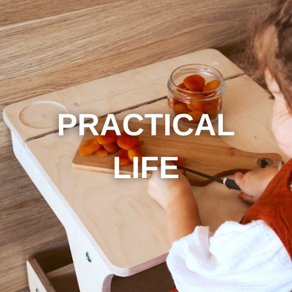 Montessori Practical Life & Eco Living – Little Big Learning