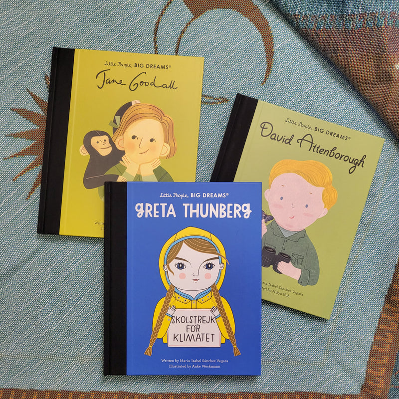 Little People, Big Dreams | Children's Book Gift Set – Little Big Learning