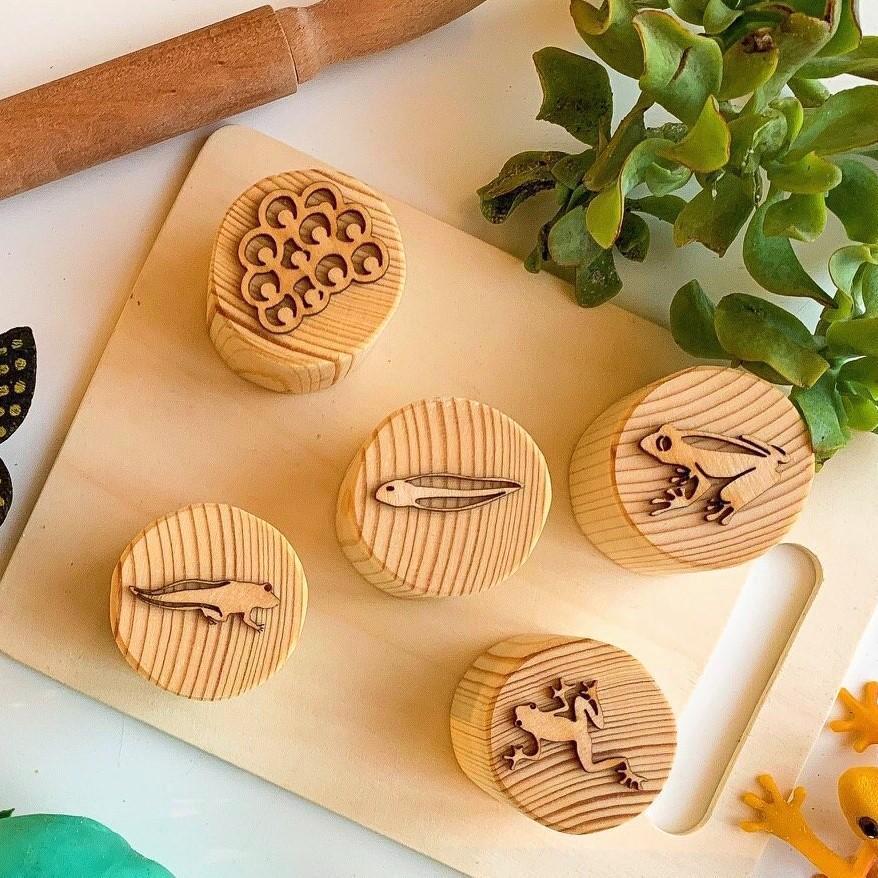 Frog Lifecycle Stamp Set – Little Big Learning